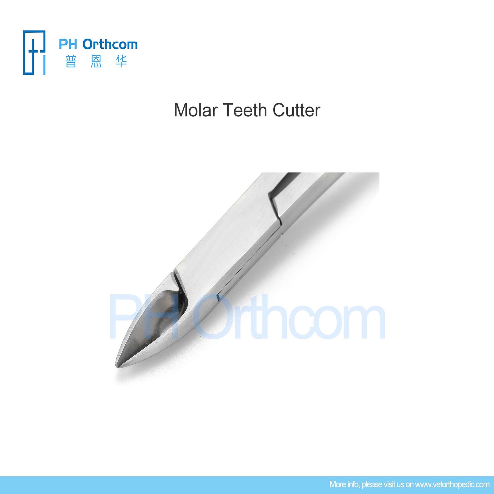 Molar Teeth Cutter – PH Orthcom