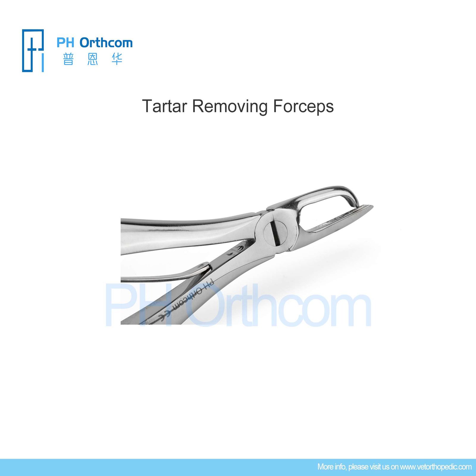 Tartar Removing Forceps – PH Orthcom