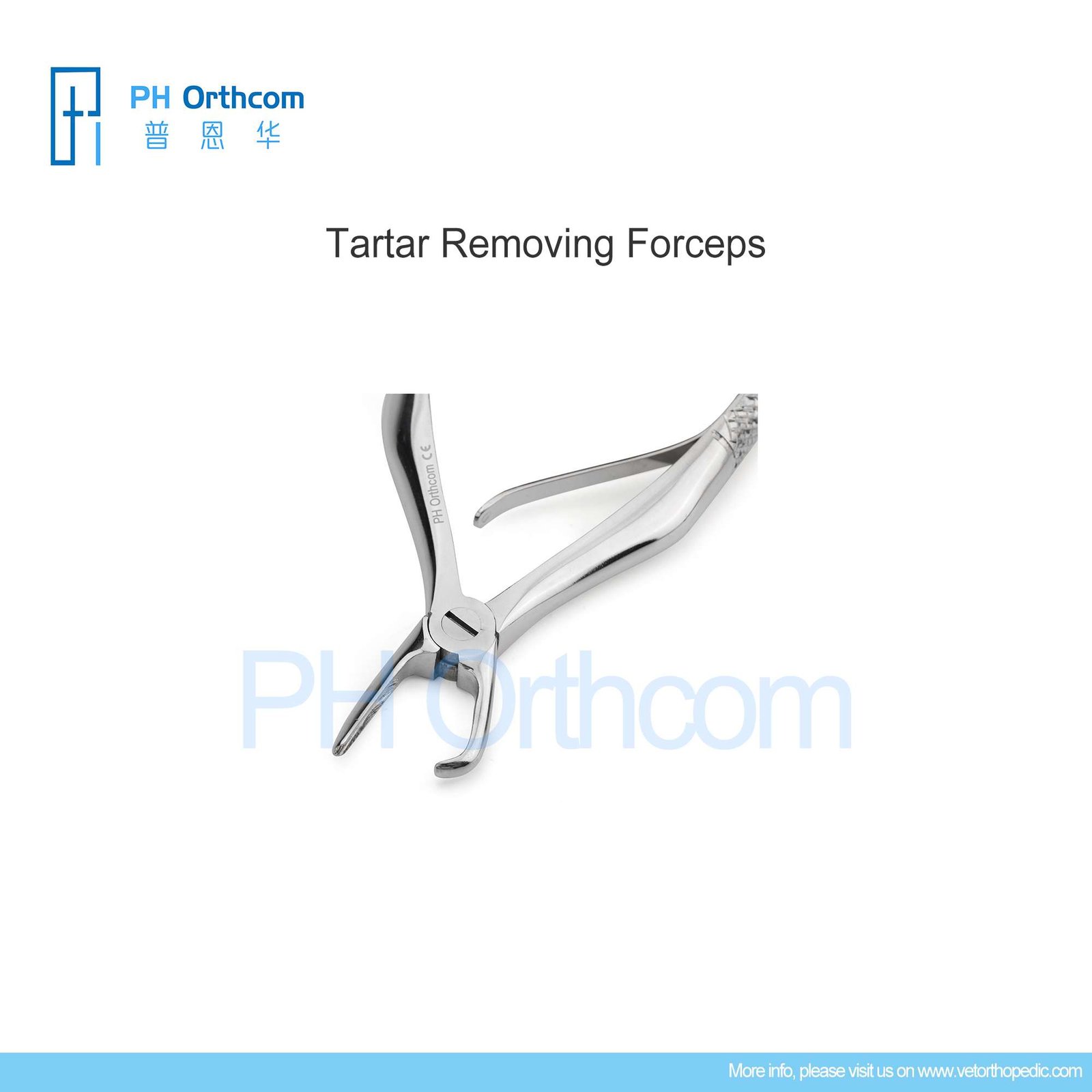 Tartar Removing Forceps, 125mm - PH Orthcom-Veterinary Orthopaedic ...